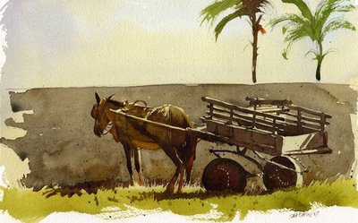 BARULHO DE CARROÇA - Crônicas da Alma