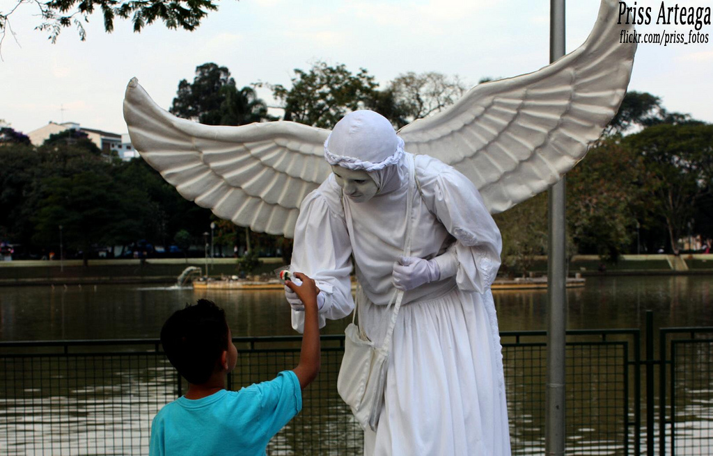 Medico Que Chora Anjos Camera